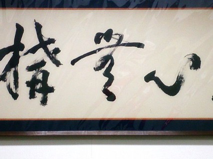 Shodokan Aikido Federation